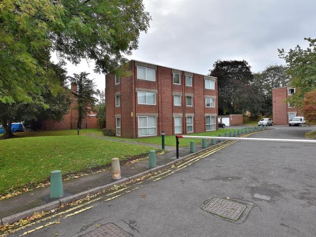 1 Bedroom Flat