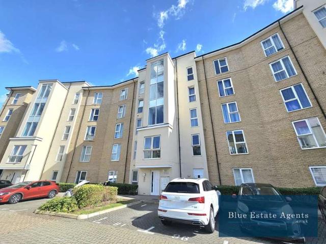 1 Bedroom Flat
