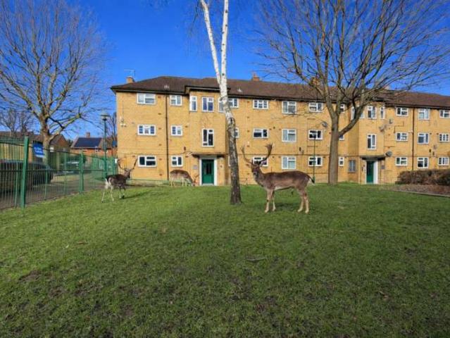 1 Bedroom Flat