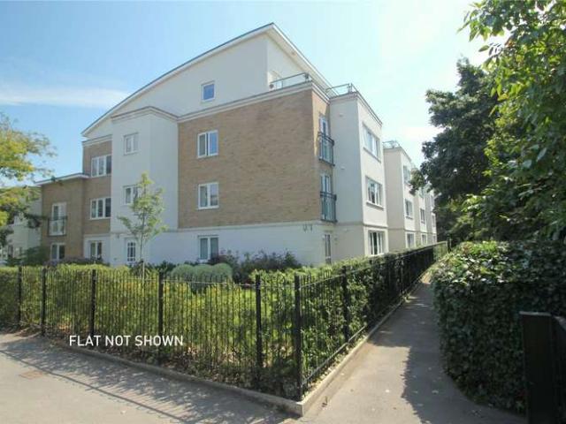 1 Bedroom Flat