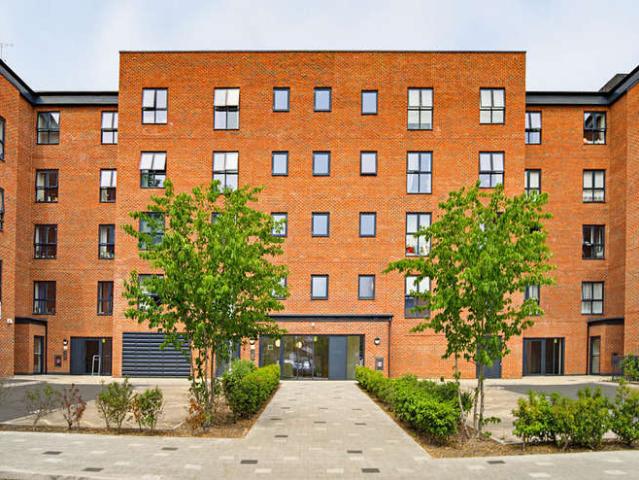 1 Bedroom Flat