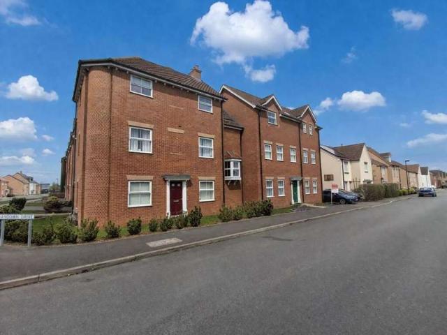 1 Bedroom Flat