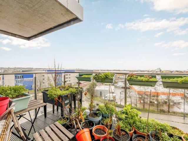 1 Bedroom Flat
