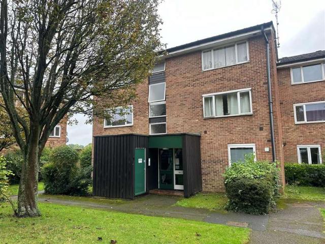 1 Bedroom Flat