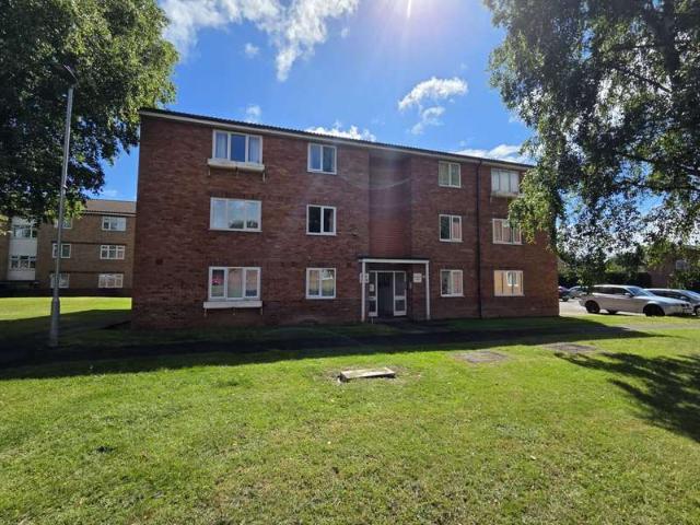 1 Bedroom Flat