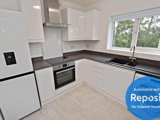 1 bedroom flat to rent
