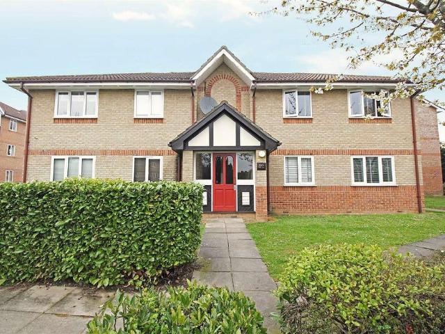 1 bedroom flat to rent
