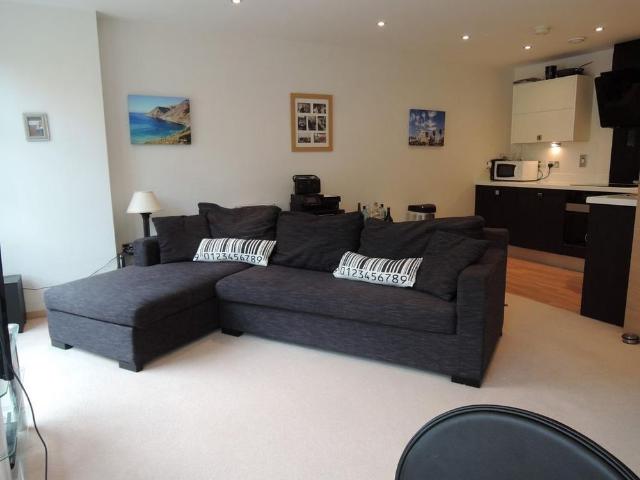 1 bedroom flat to rent