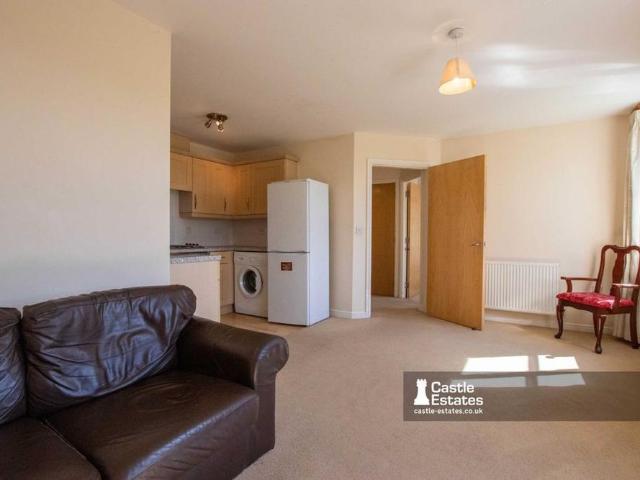 1 bedroom flat to rent