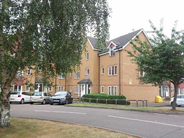 1 bedroom flat to rent