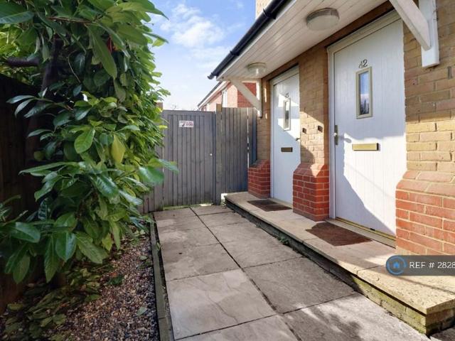 1 bedroom flat to rent