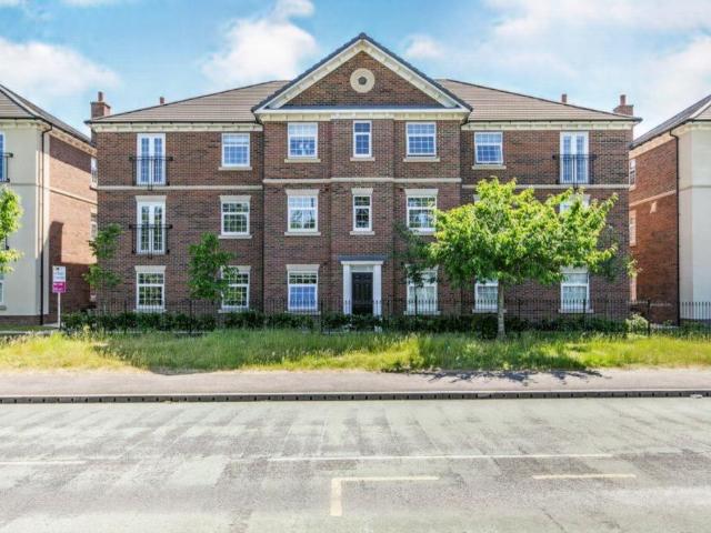 1 bedroom flat to rent