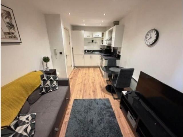 1 bedroom flat to rent