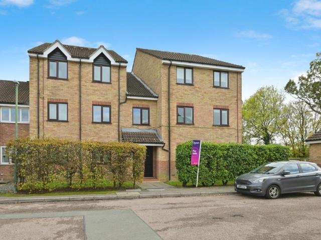 1 bedroom flat to rent