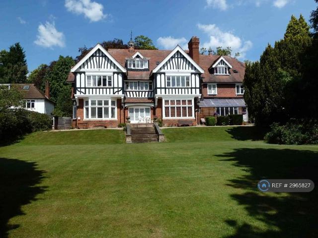 1 bedroom flat to rent