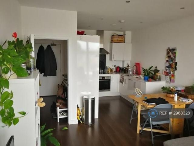 1 bedroom flat to rent