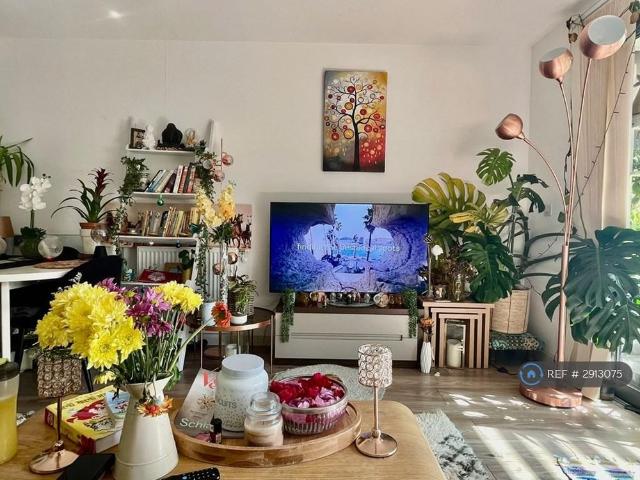 1 bedroom flat to rent