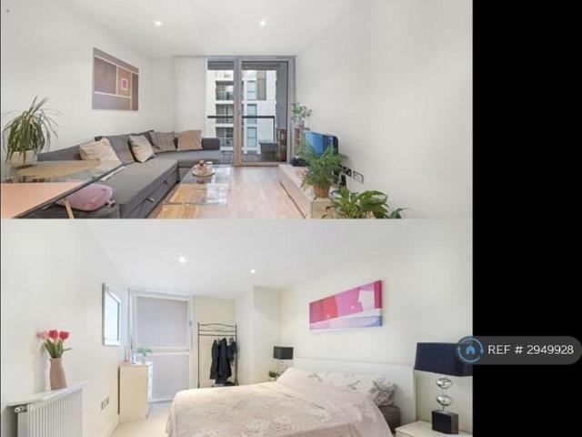 1 bedroom flat to rent