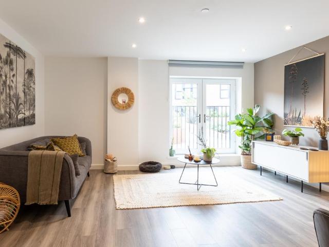 1 bedroom flat to rent