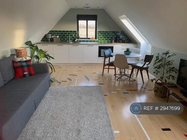 1 bedroom flat to rent