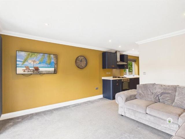 1 bedroom flat to rent