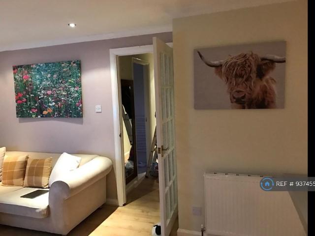 1 bedroom flat to rent