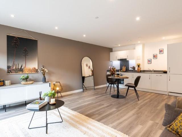 1 bedroom flat to rent