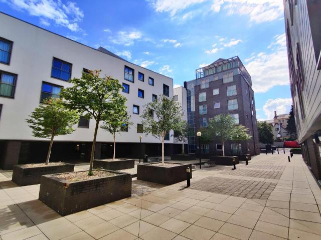 1 bedroom flat to rent