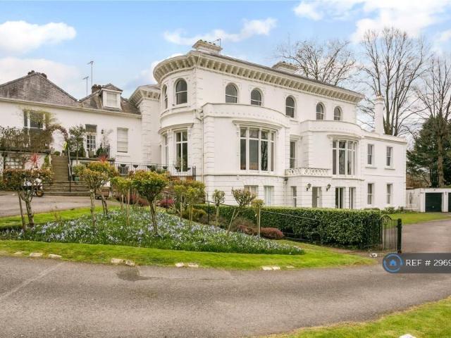 1 bedroom flat to rent