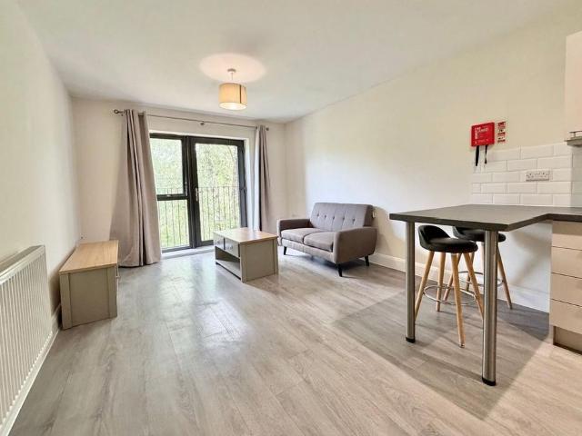 1 bedroom flat to rent