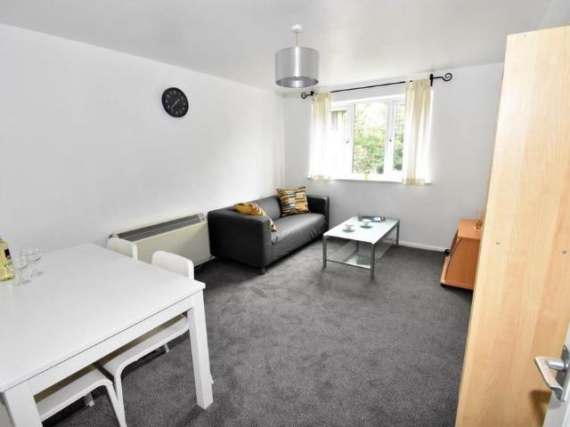 1 bedroom flat to rent