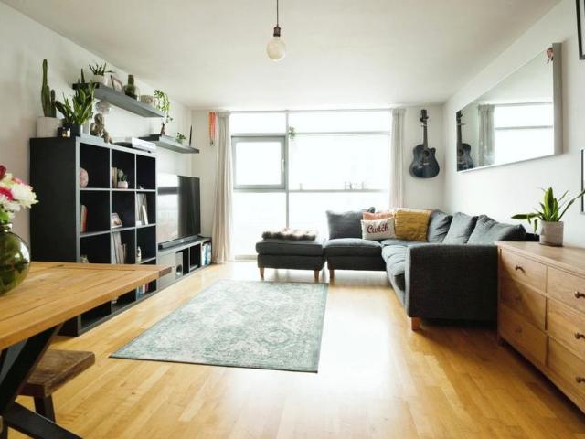 1 bedroom flat to rent
