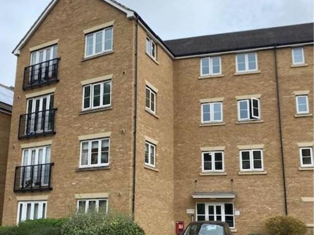 1 bedroom flat to rent