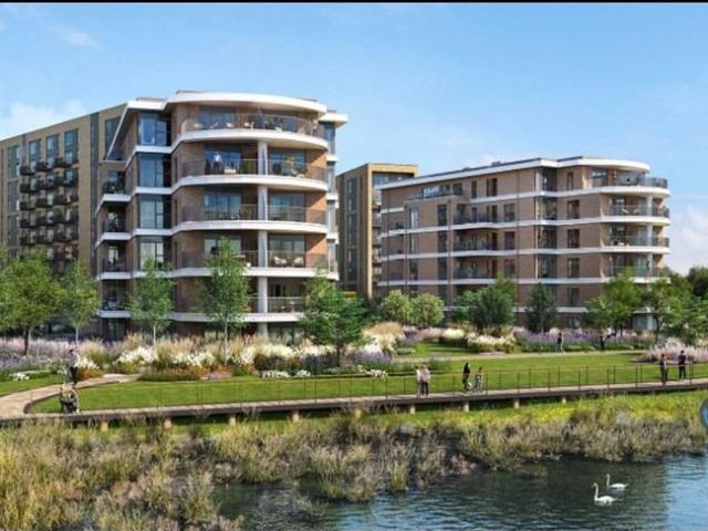1 bedroom flat to rent