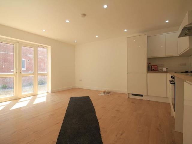 1 bedroom flat to rent