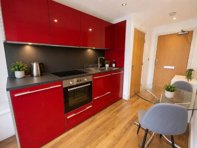 1 bedroom flat to rent