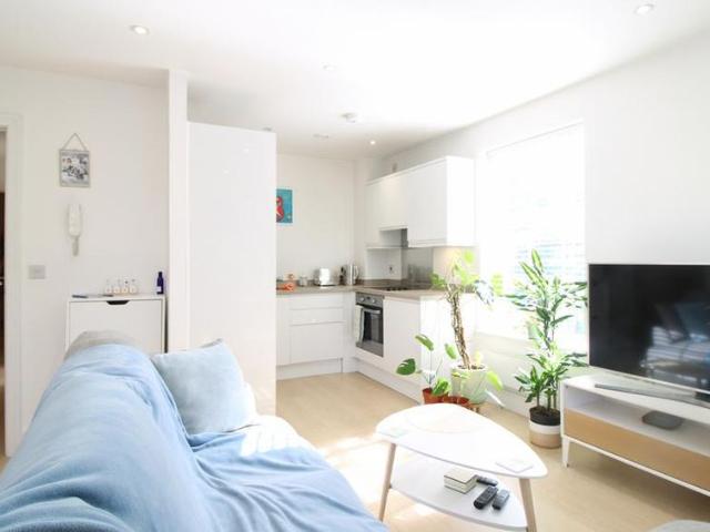 1 bedroom flat to rent