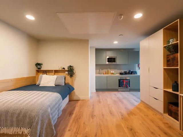 1 bedroom flat to rent