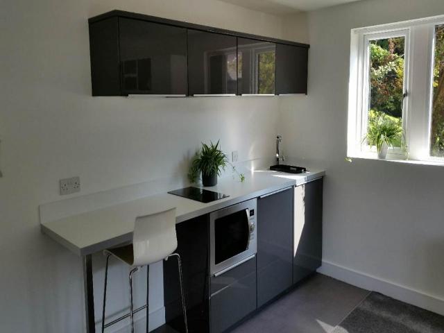 1 bedroom flat to rent