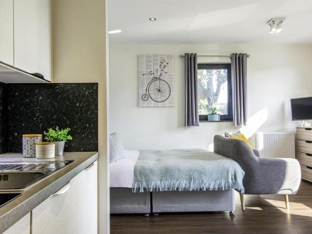 1 bedroom flat to rent