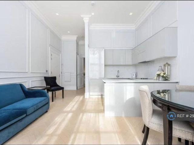 1 bedroom flat to rent