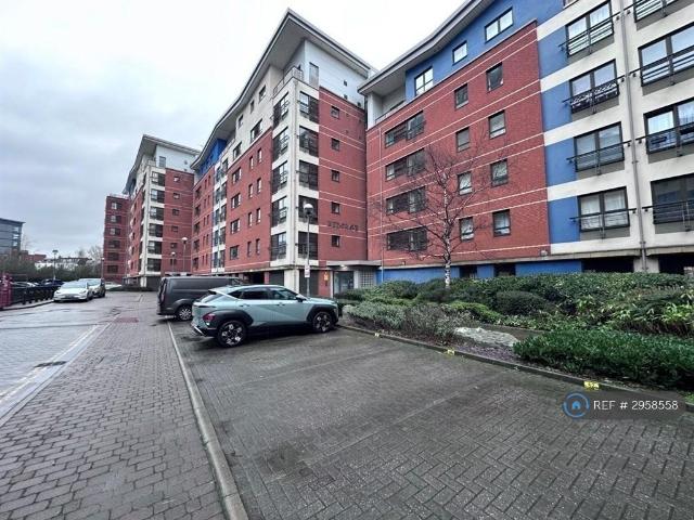 1 bedroom flat to rent