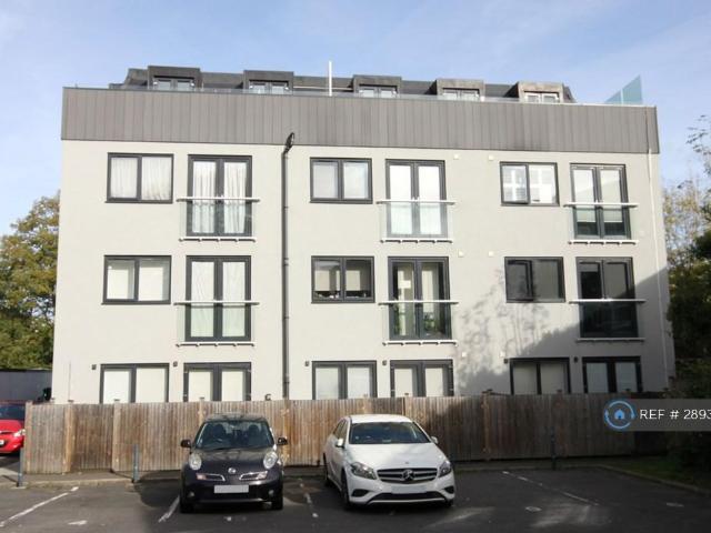 1 bedroom flat to rent