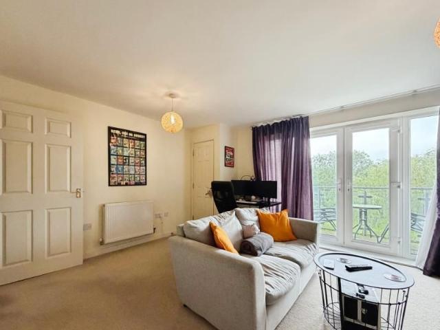 1 bedroom flat to rent