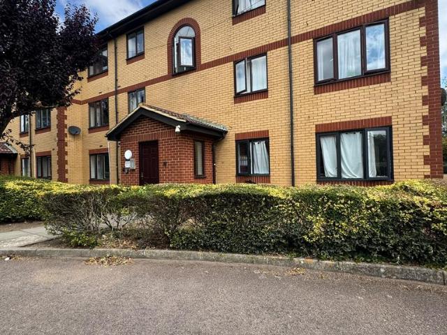 1 bedroom flat to rent