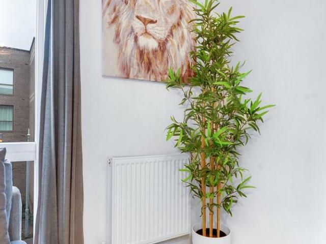 1 bedroom flat to rent