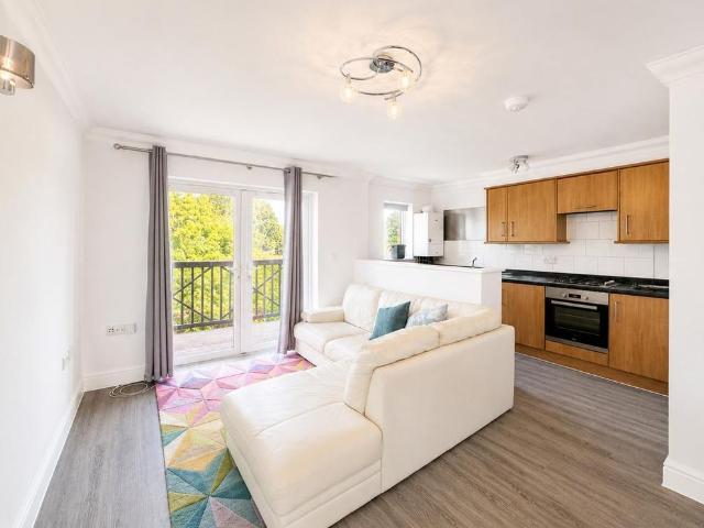 1 bedroom flat to rent