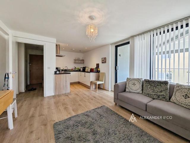1 bedroom flat to rent