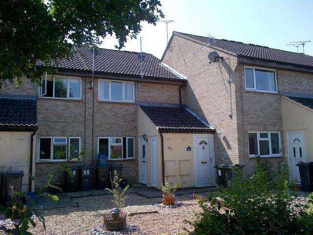1 bedroom flat to rent