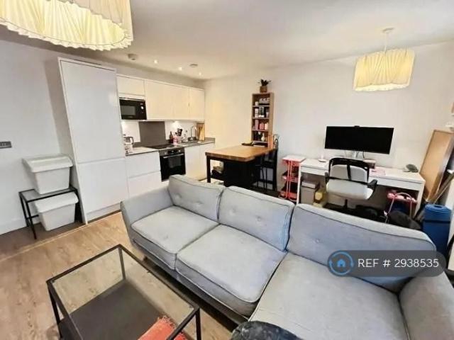 1 bedroom flat to rent